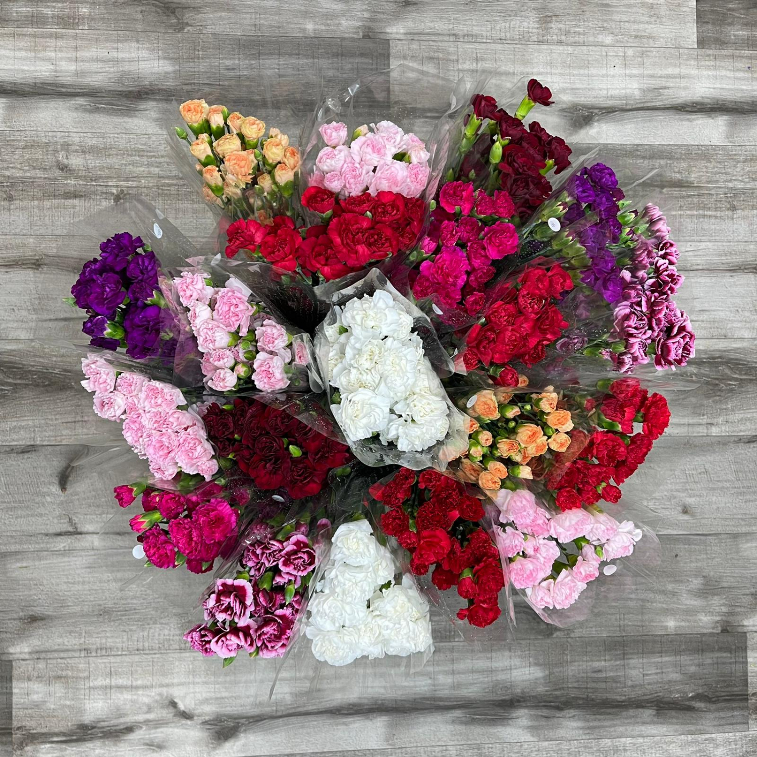 Carnation Mini Assorted Box 200 stems - FlowersAndServices® Nationwide