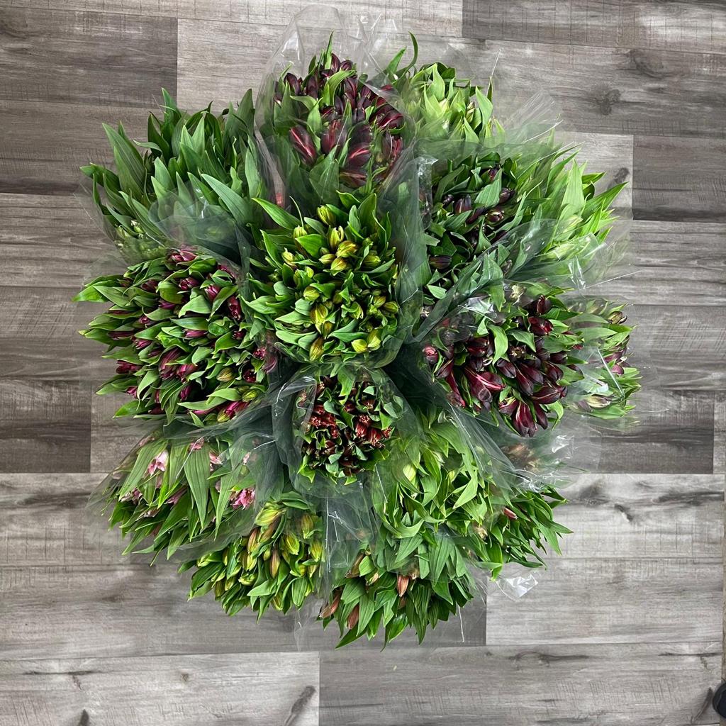 Alstroemeria Assorted Box 150 Stems - FlowersAndServices® Nationwide